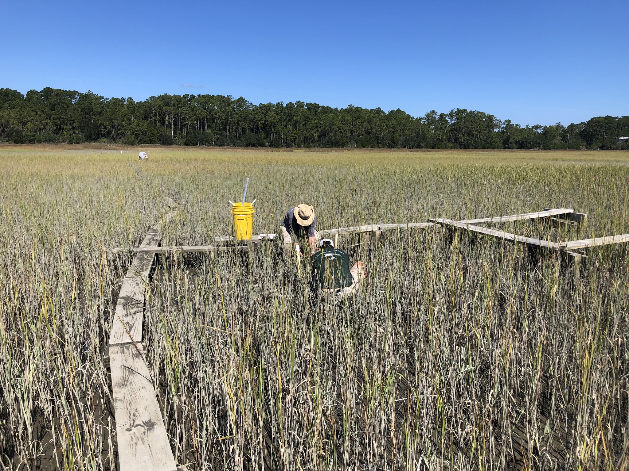 Research – North Inlet-Winyah Bay