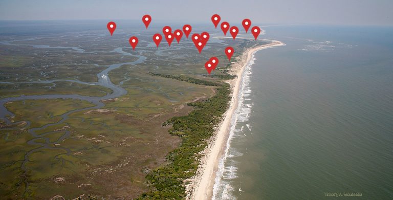 North Inlet-Winyah Bay – National Estuarine Research Reserve