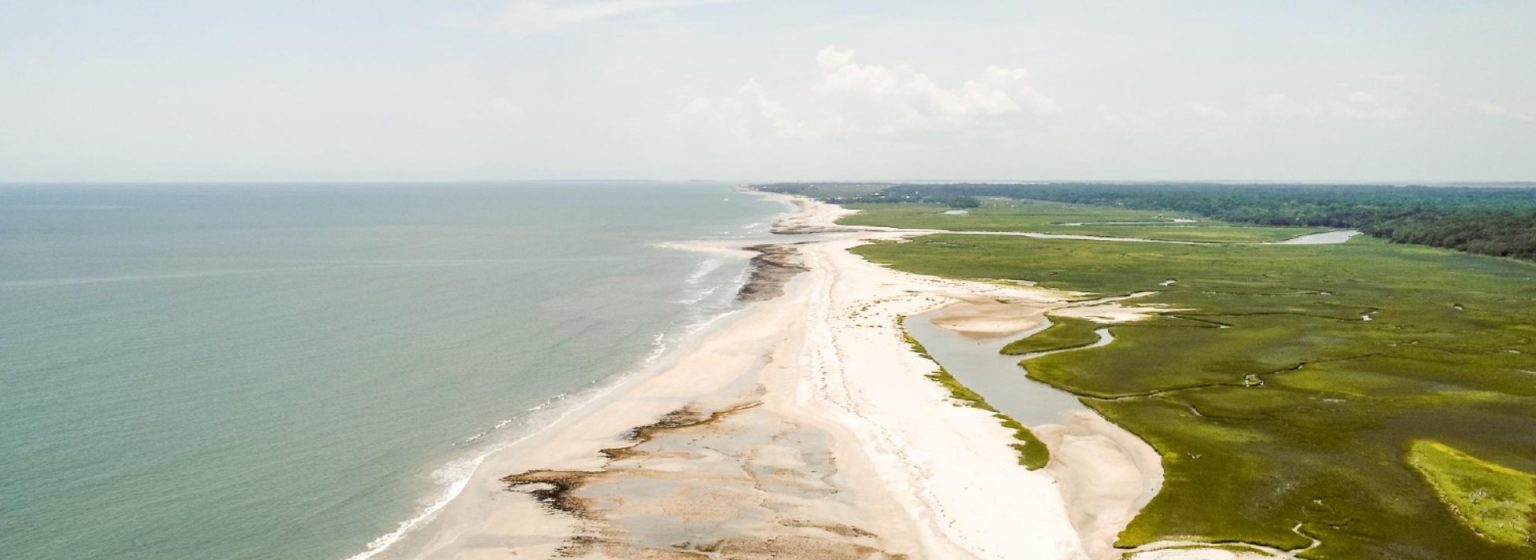 Exploring Wetlands with Webinars – North Inlet-Winyah Bay