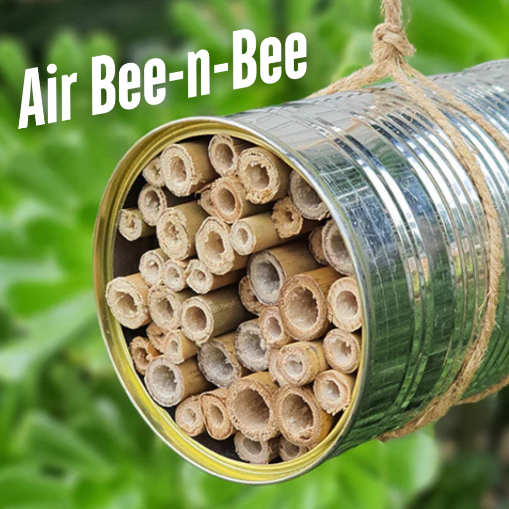DIY Habitat Series: Air Bee-n-Bee – North Inlet-Winyah Bay