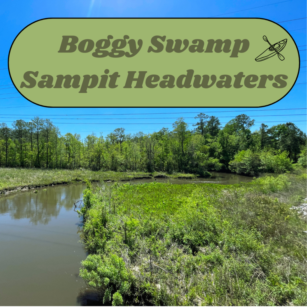 Winyah Watershed Paddle: Boggy Swamp, Sampit River – North Inlet-Winyah Bay